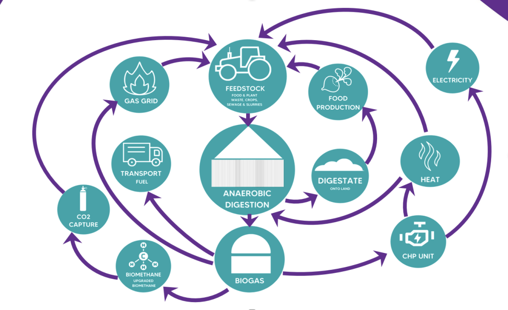 Anaerobic Digestion Process - Adapt Biogas
